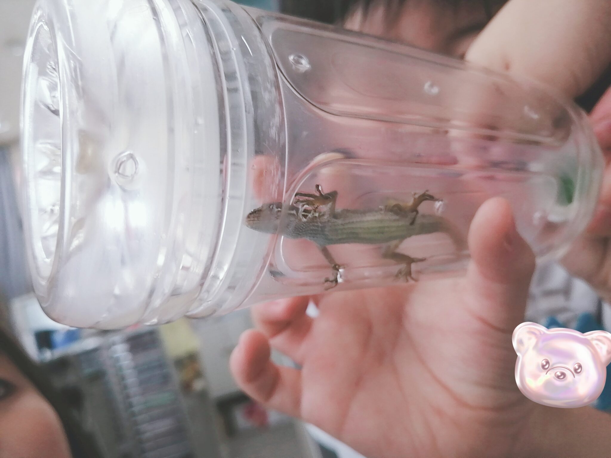 23-05-20-10-35-44-989_deco[1]｜藤井寺カトリック幼稚園｜学校法人大阪聖マリア学園